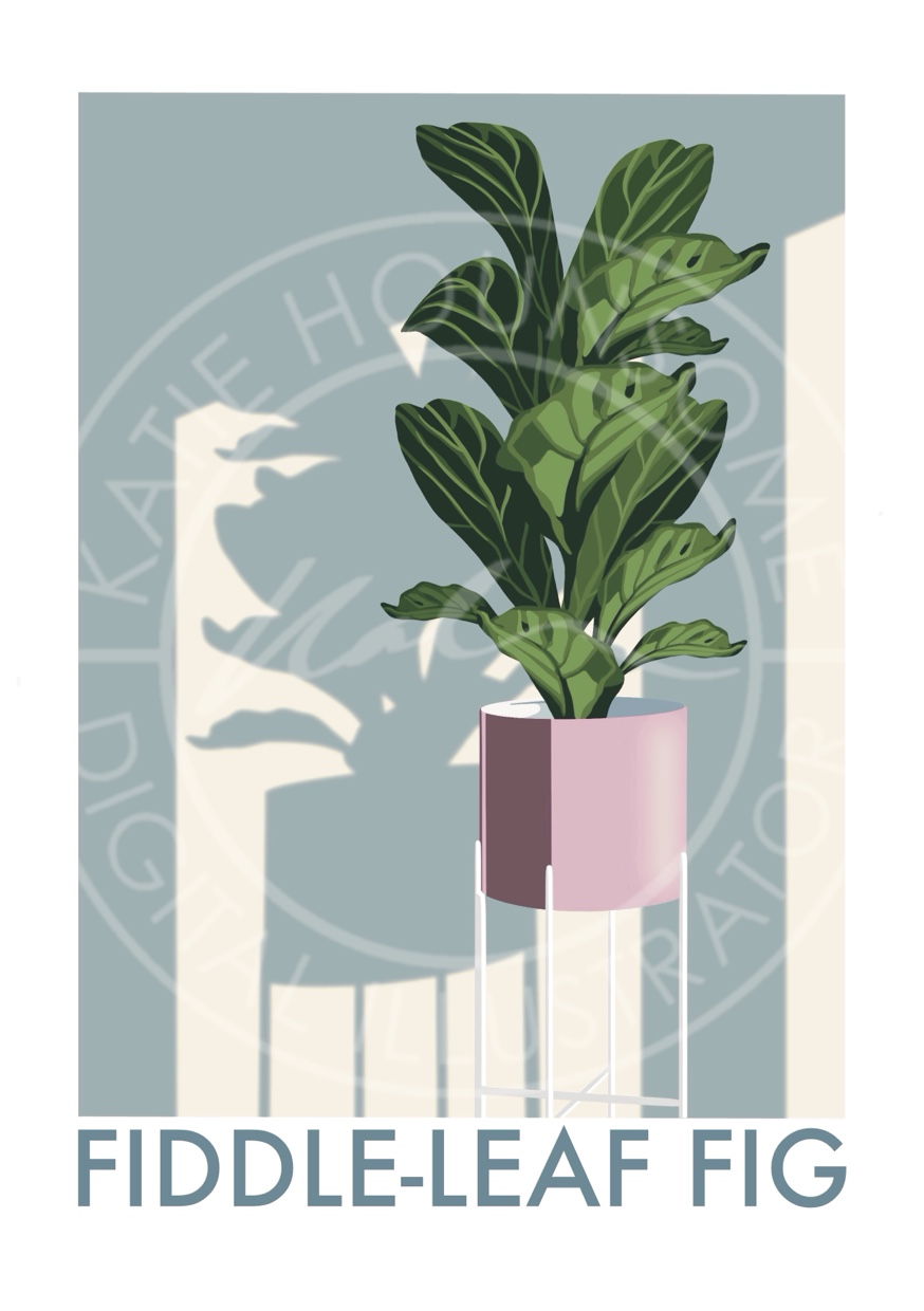Fiddle Leaf Fig – Floral Design – Katie Hounsome Illustrator